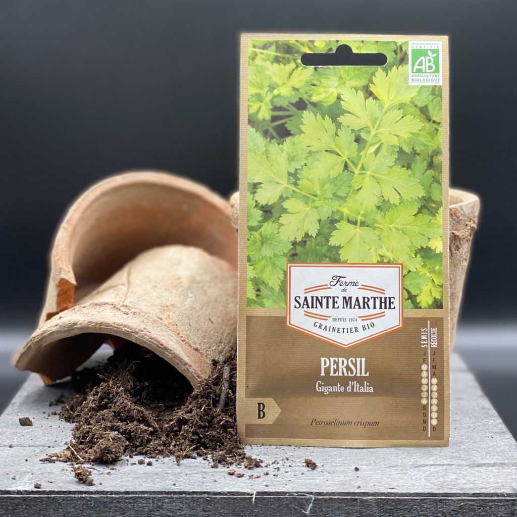 Persil Géant d'Italie - Le Jardin du Rudel